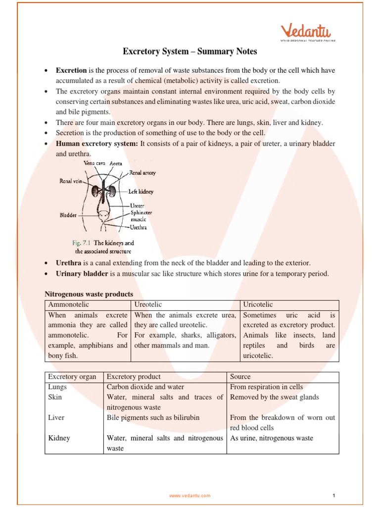 Class 10 Biology Chapter 8 Revision Notes | PDF