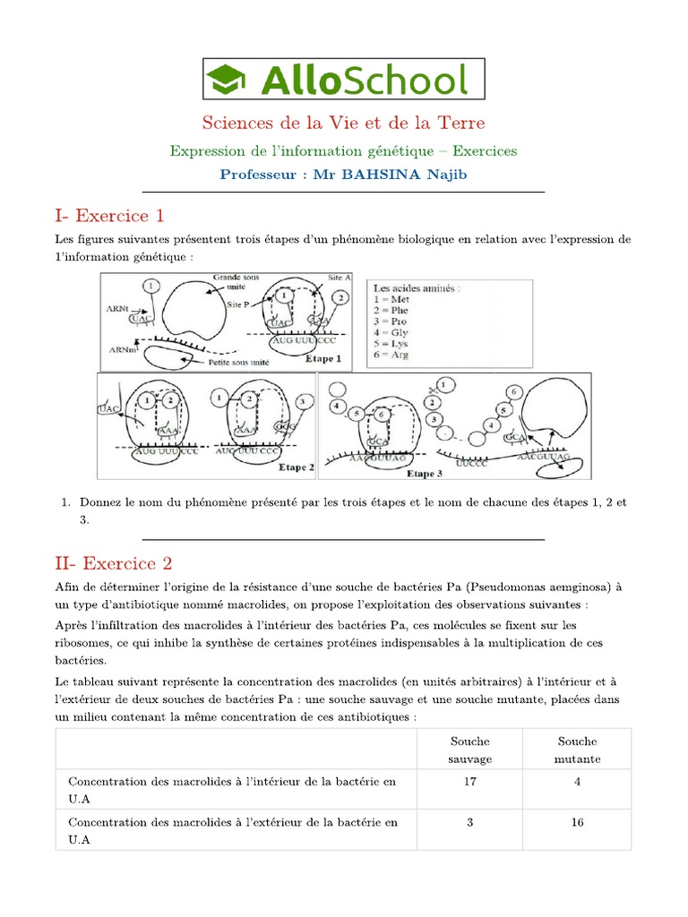 Expression de L Information Genetique Exercices 10 | PDF
