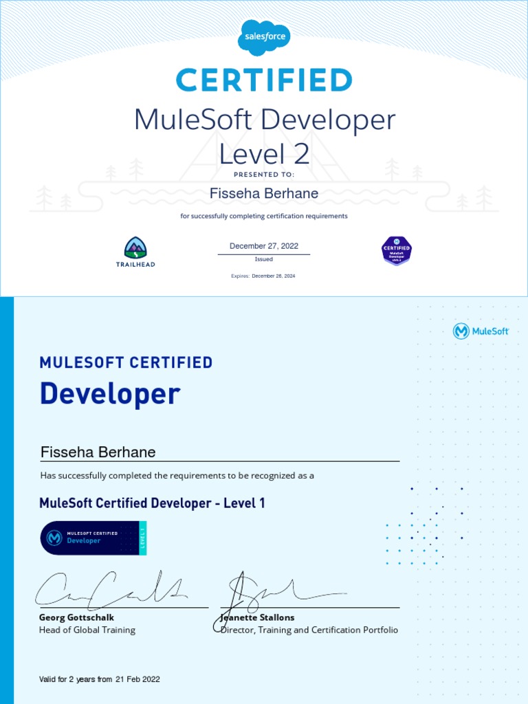Mulesoft Certified Developer Pdf