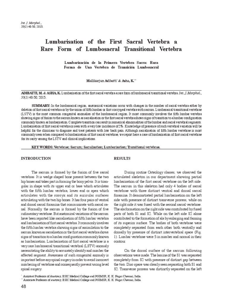 Lumbarisation of The First Sacral Vertebra A Rare Form of Lumbosacral ...