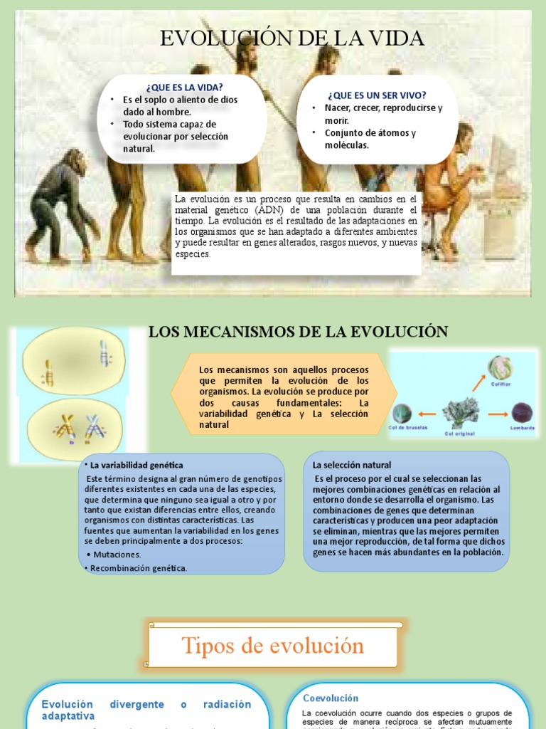 Evolución de La Vida | PDF | Evolución | Gene