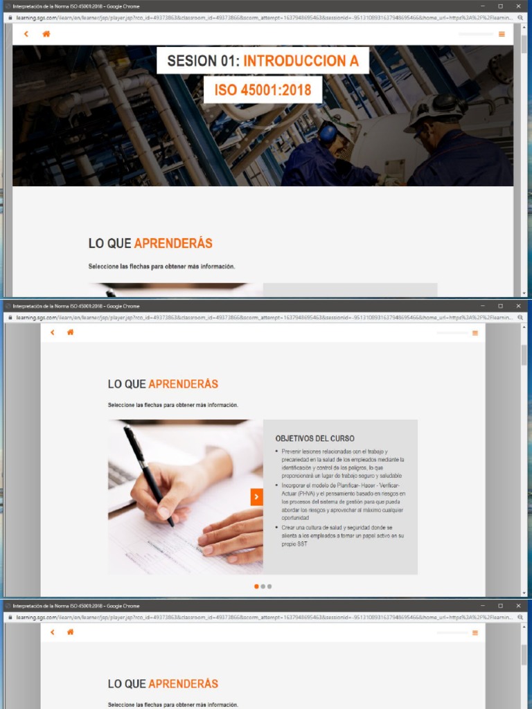 SGS - 45001 Intro | PDF