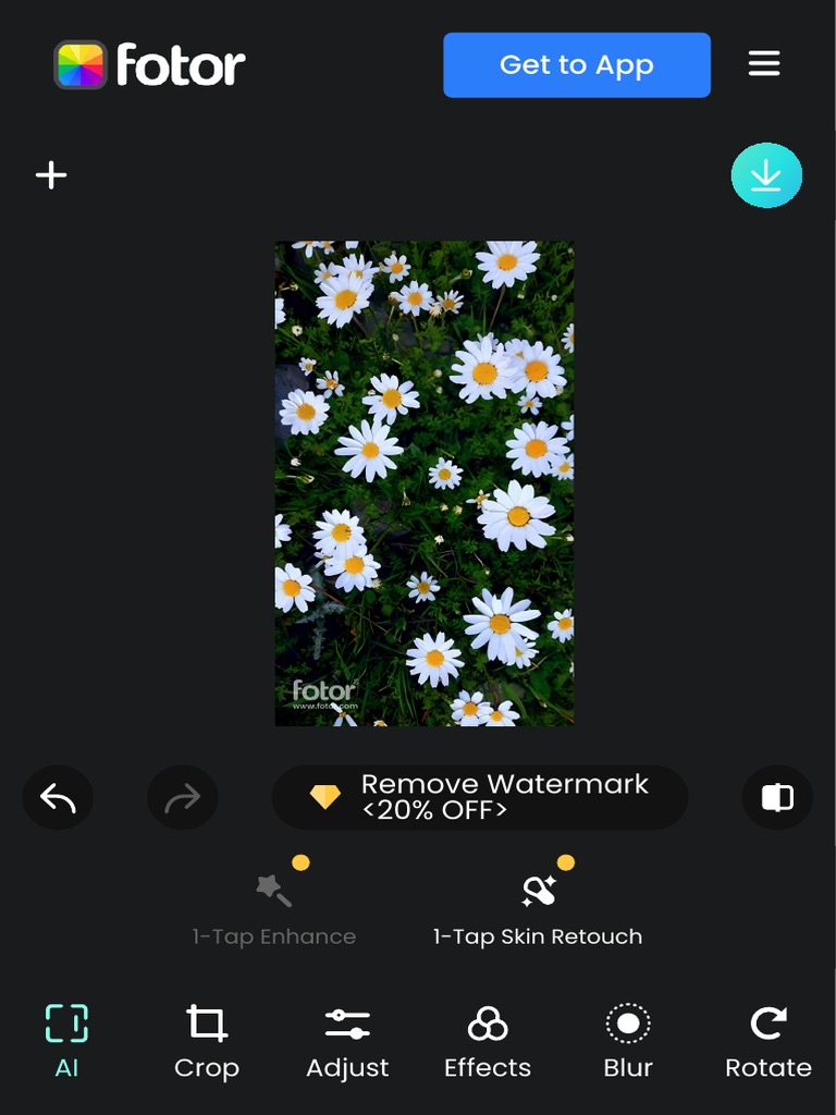 Al Photo Editor - Instant Photo Editing With AI Fotor 2 | PDF