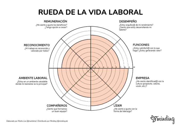 Rueda de la Vida Laboral y Bienestar | PDF