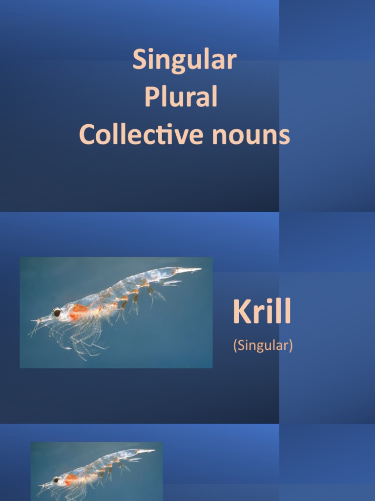 Singular, Plural, Collective Nouns | PDF