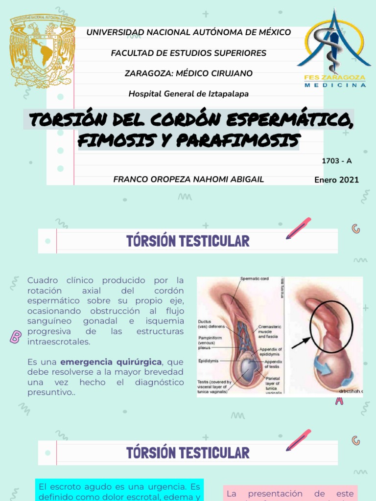 Torsión Del Cordón Espermático, Fimosis y Parafimosis | PDF ...