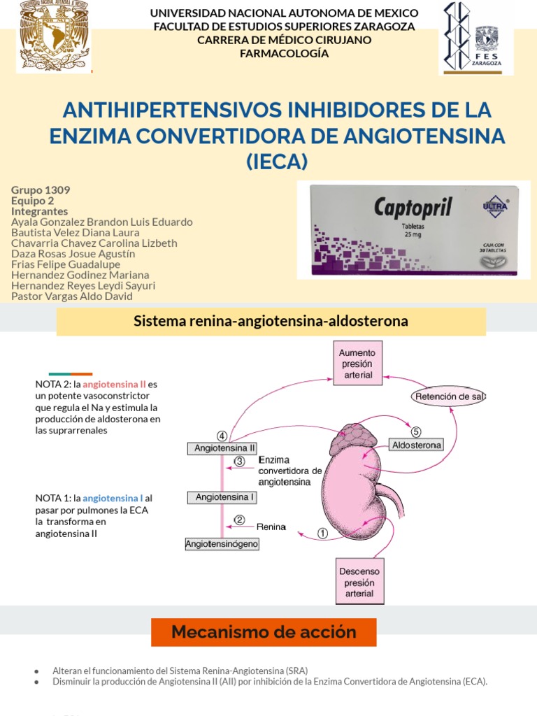 Antihipertensivos Inhibidores de La Enzima Convertidora de Angiotensina (Ieca) | PDF