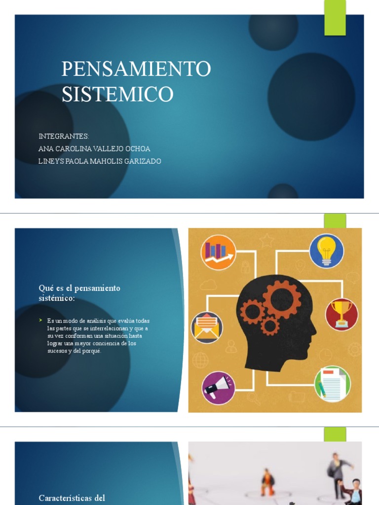 Pensamiento Sistemico | PDF