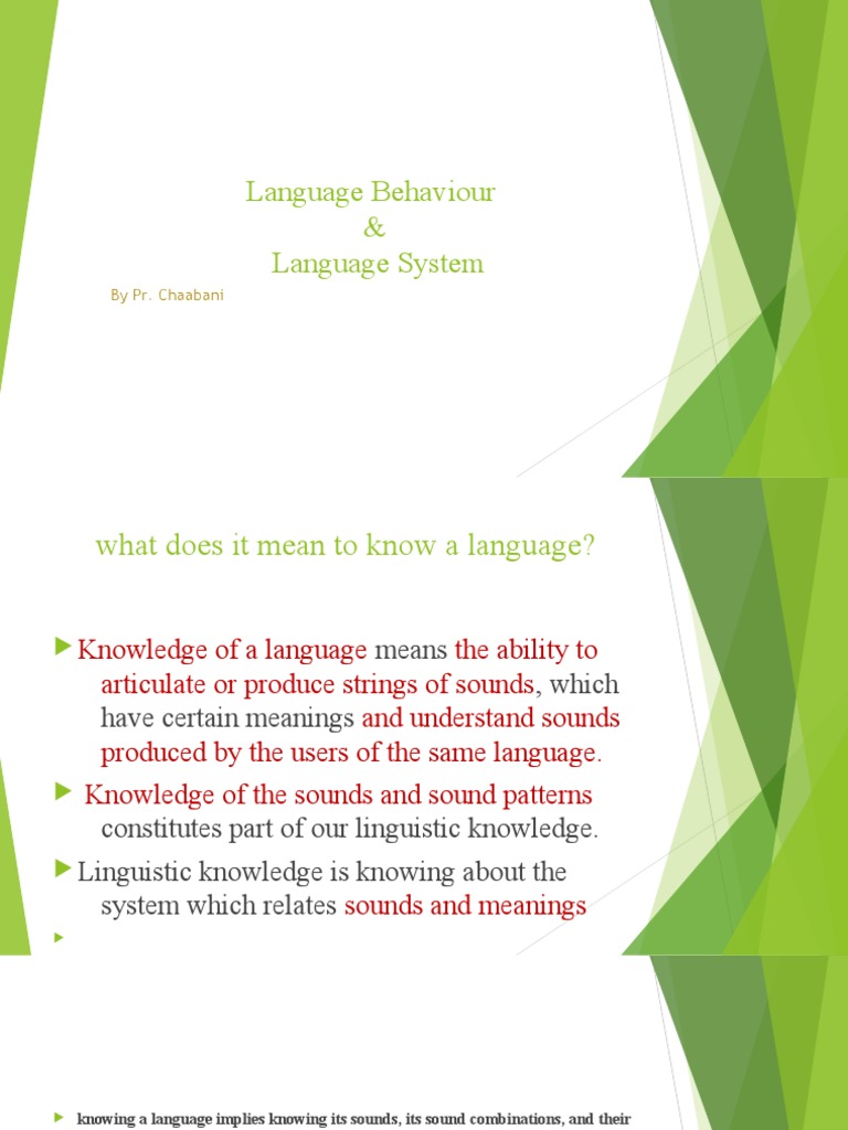 Language Behaviour and Language System | PDF