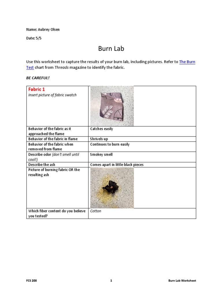 Burn Lab Worksheet for Fabric Testing | PDF