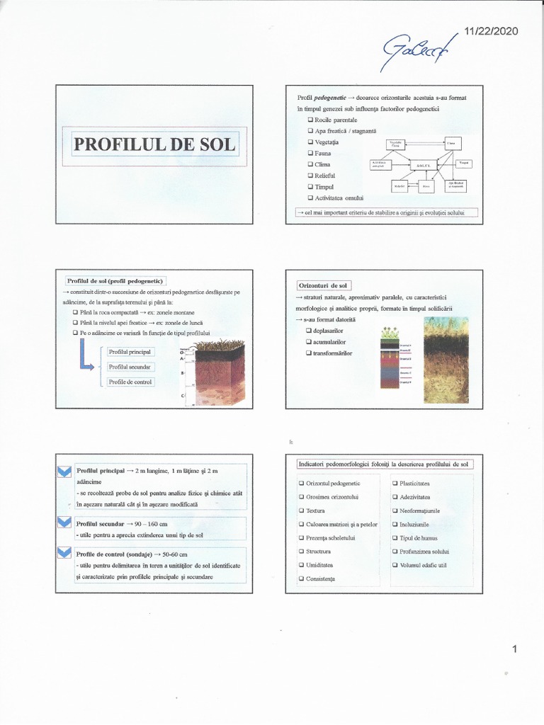 Profilul de Sol - Curs-1 | PDF