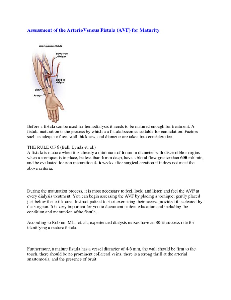 Assessment of The ArterioVenous Fistula | PDF | Hemodialysis | Clinical ...