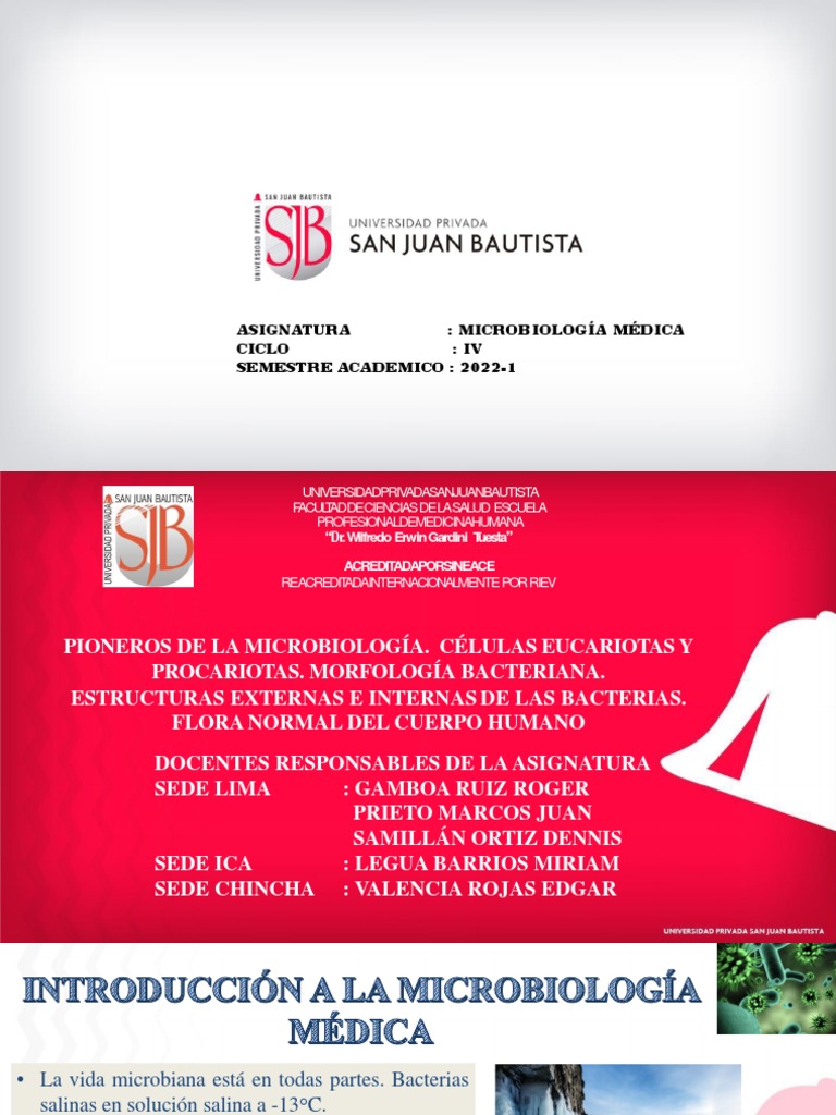 Clase 1. Microbiología. Morfología Bacteriana. Flora Normal - CH | PDF | Las bacterias ...