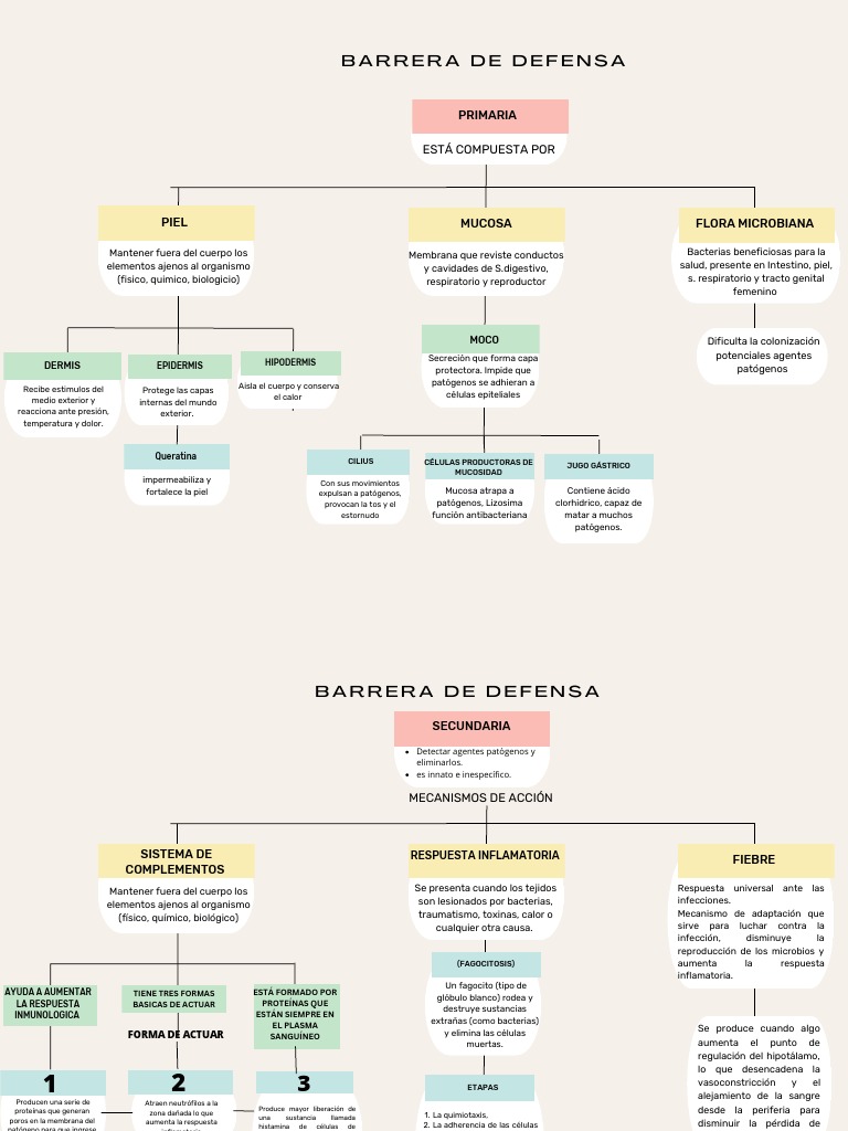 Barrera de Defensa | PDF | Sistema inmune | Inflamación