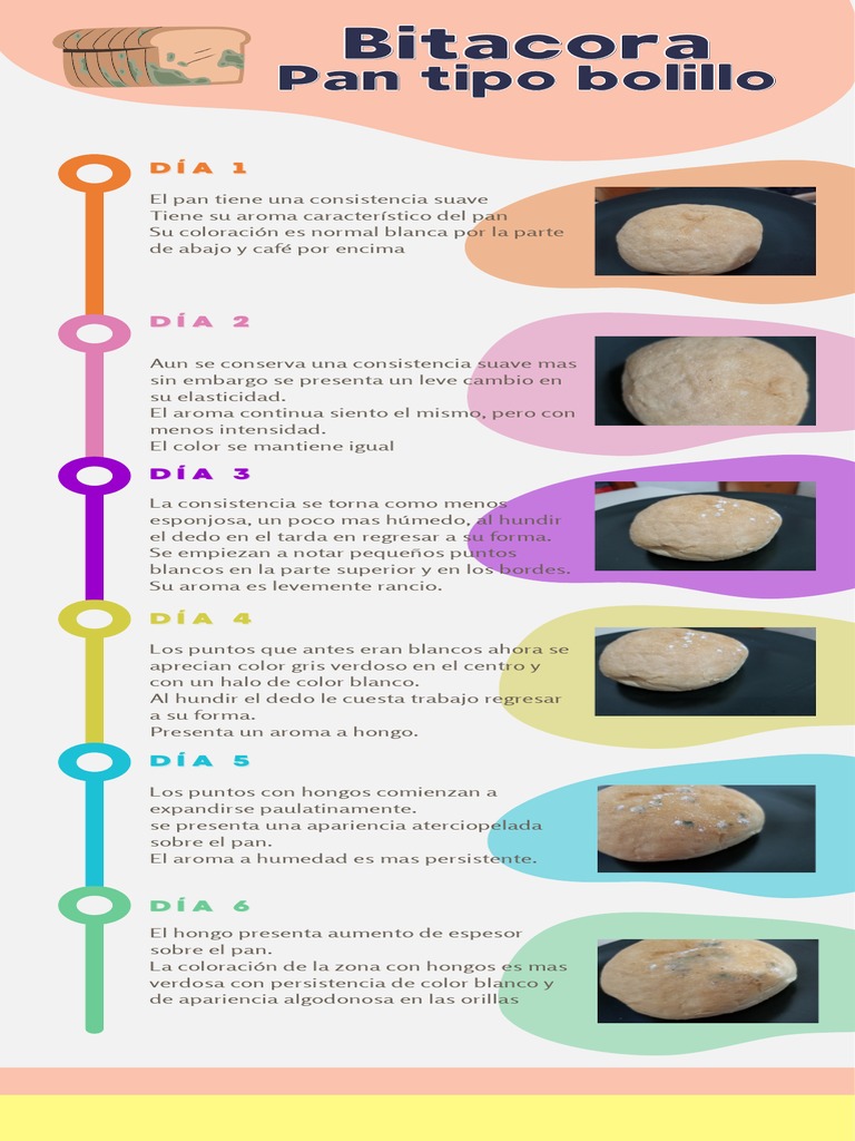 Pan Con Moho | PDF