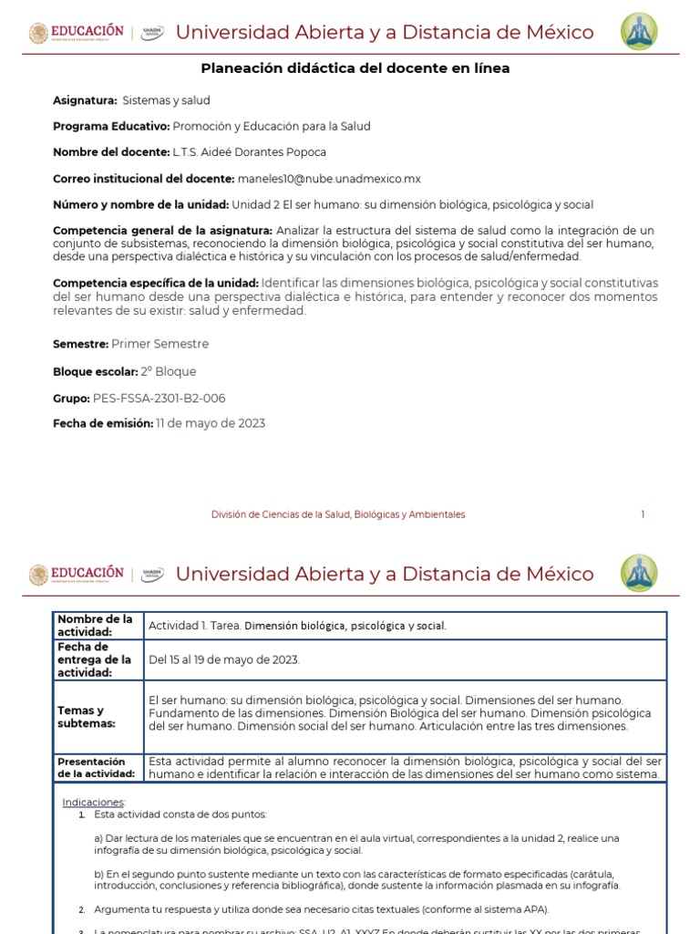 Primer Semestre Sistemas y Salud Unidad 2 Bloque 2 PD (Recuperado Automáticamente) | PDF ...