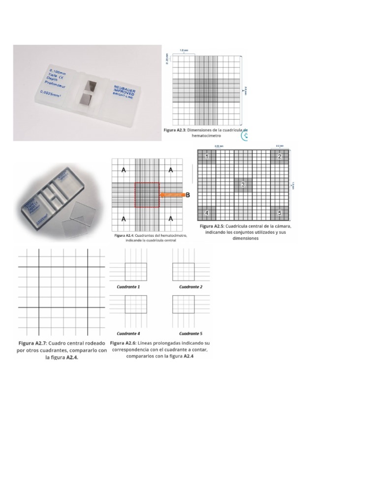Microo Pdf