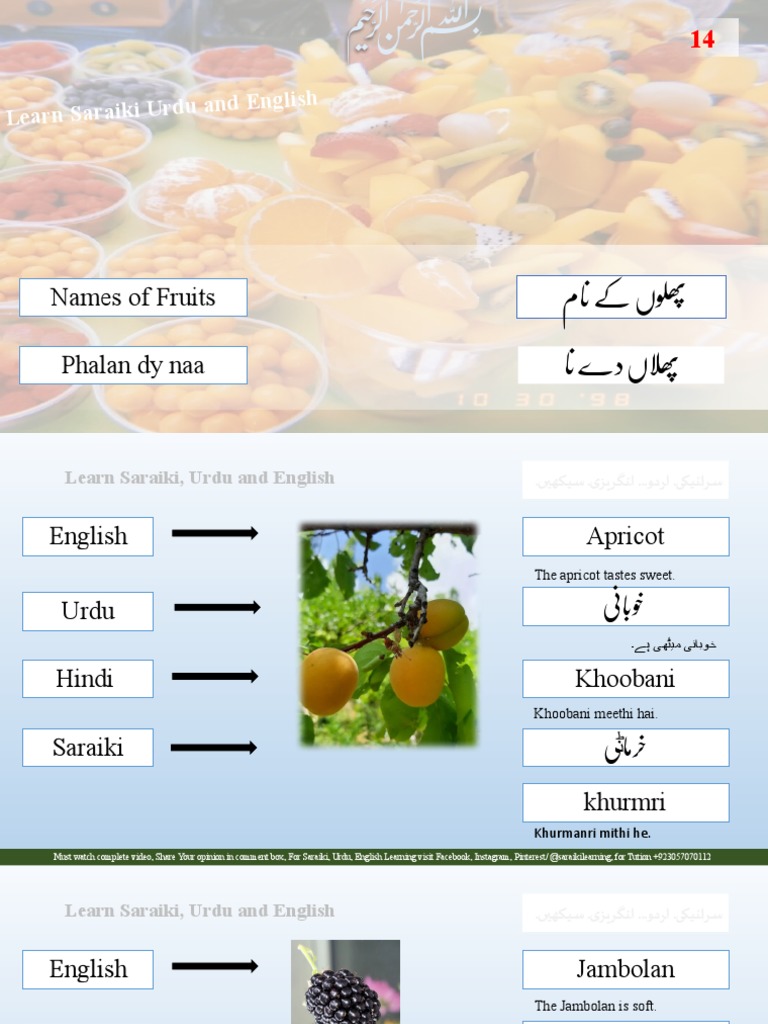 Learn Saraiki 014 Names of Fruits | PDF
