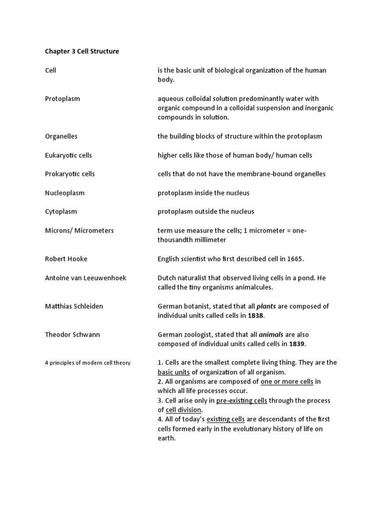 Anph 1001 Chapter 3 | PDF
