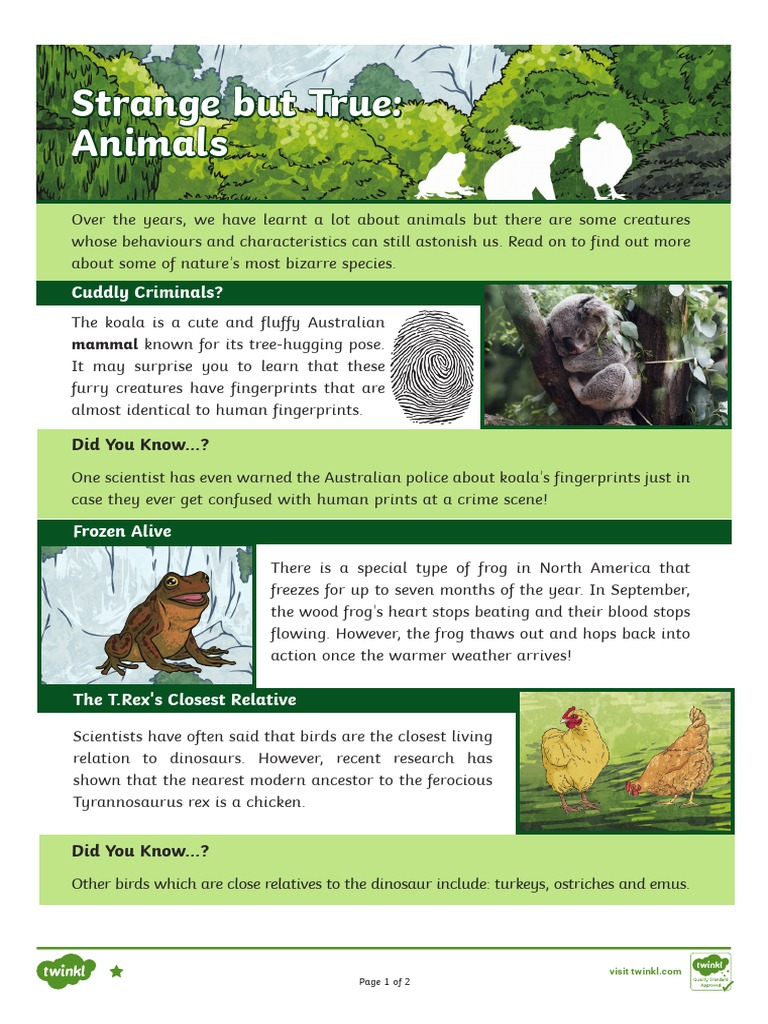 UKS2 Strange But True Animals Differentiated Reading Comprehension ...