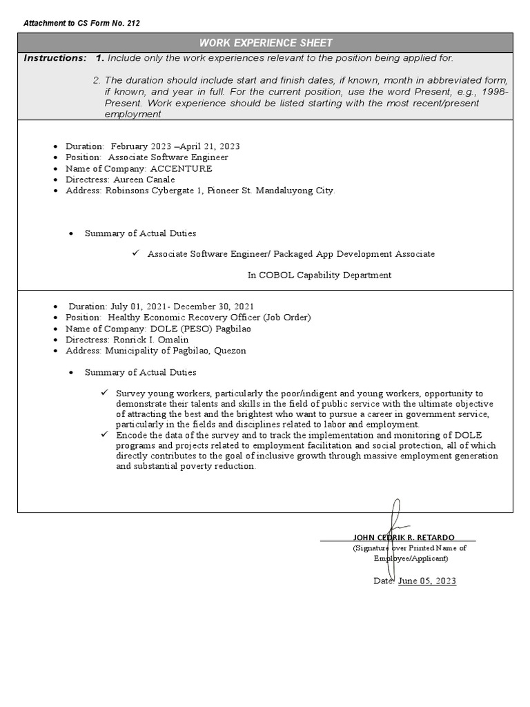 Work Experience Sheet for CS Form 212 | PDF