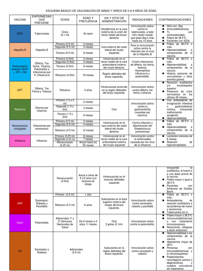Esquema Basico de Vacunacion de Ninas y | PDF | Vacunas | Influenza