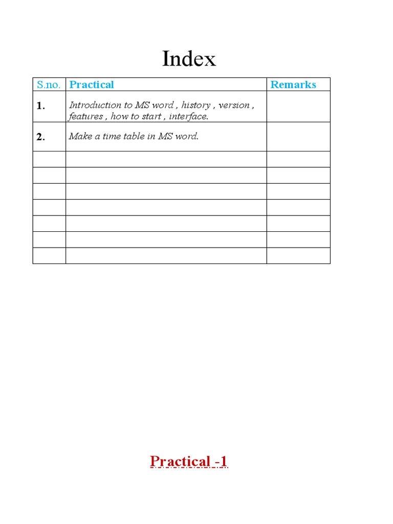 Computer Practical | PDF