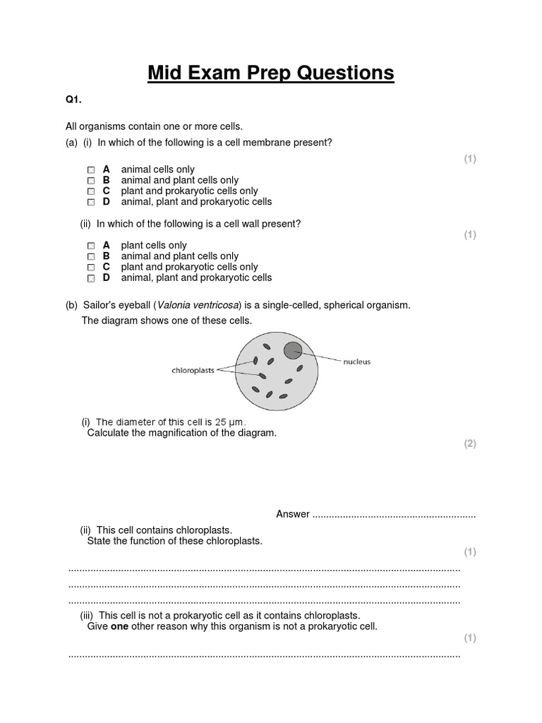 Exercise For Mid Exam | PDF | Cell (Biology) | Cell Potency