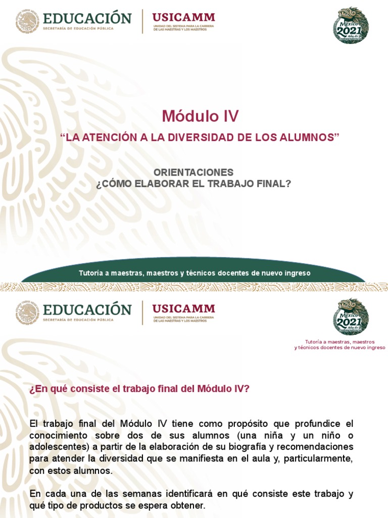 Orientaciones Trabajo Final MIV Tutoria | PDF