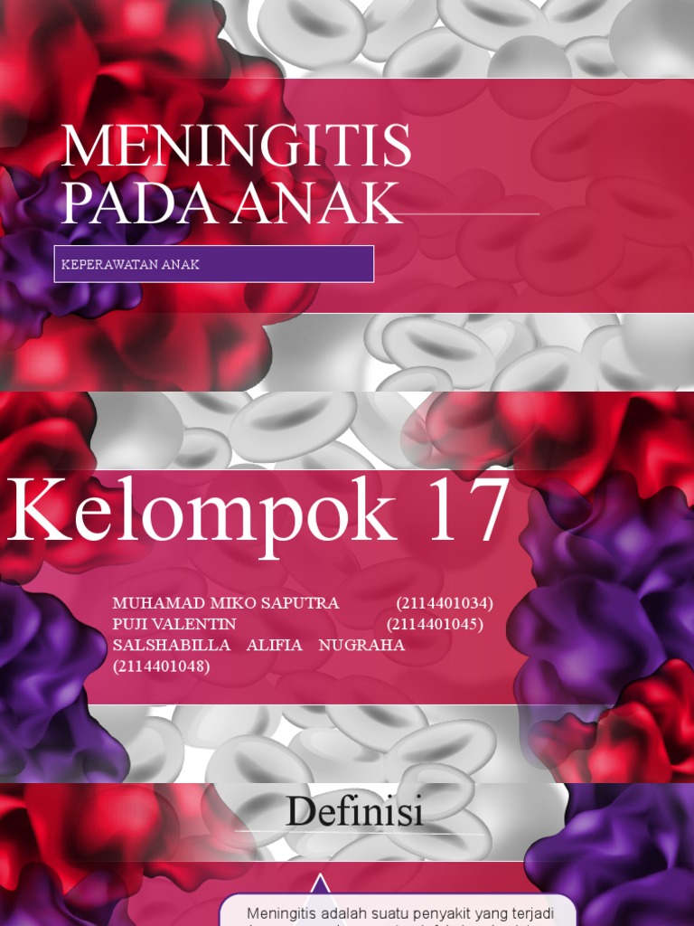 Kelompok 17 Meningitis Ibu Rahayu | PDF