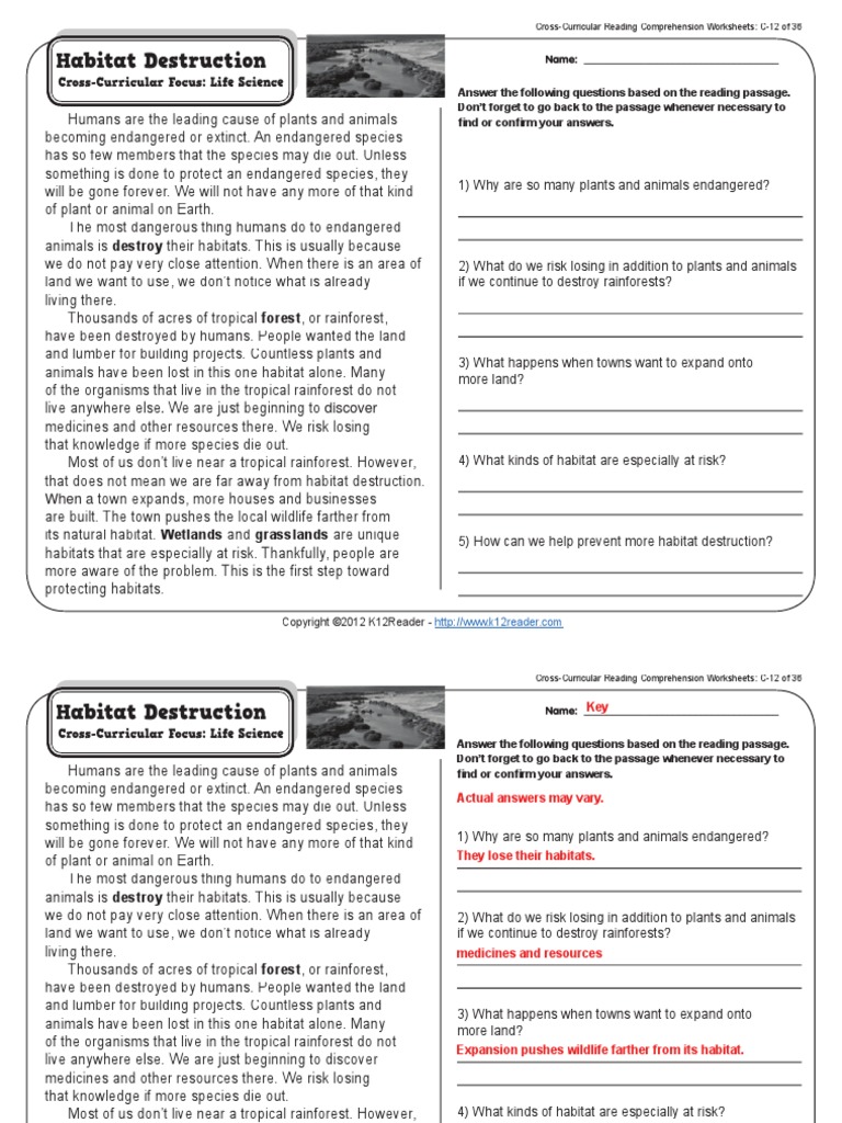 Gr3 Wk12 Habitat Destruction | PDF | Habitat Destruction | Rainforest