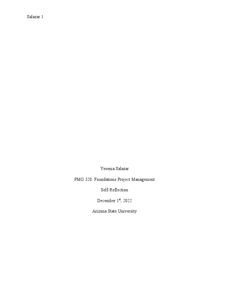 PMG 320 Reflection | PDF | Project Management | Cognitive Science