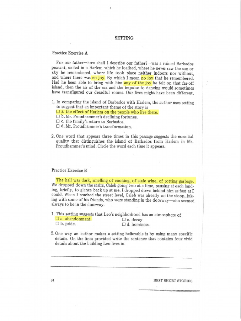 Analyzing Setting Practice Exercises | PDF