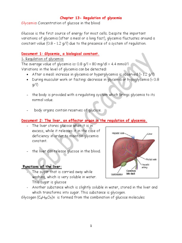 Chapter 13 Glycemia | PDF | Pancreas | Insulin