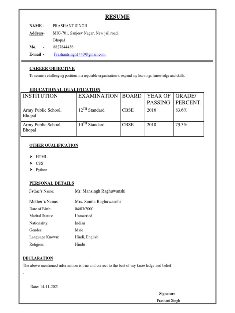 Prashant Singh's Resume Overview | PDF