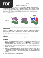 Calvin Cycle Worksheet | PDF | Biology | Biochemistry