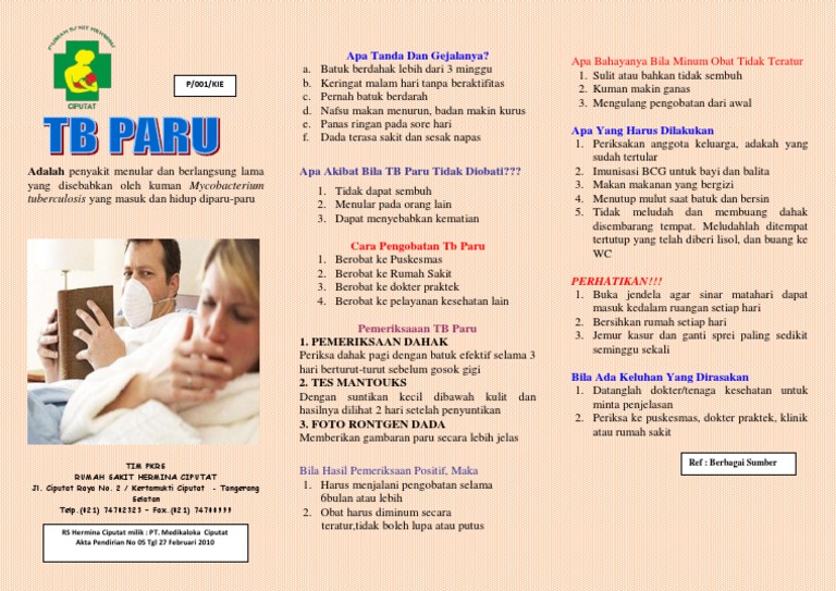 TB Paru Leaflet | PDF
