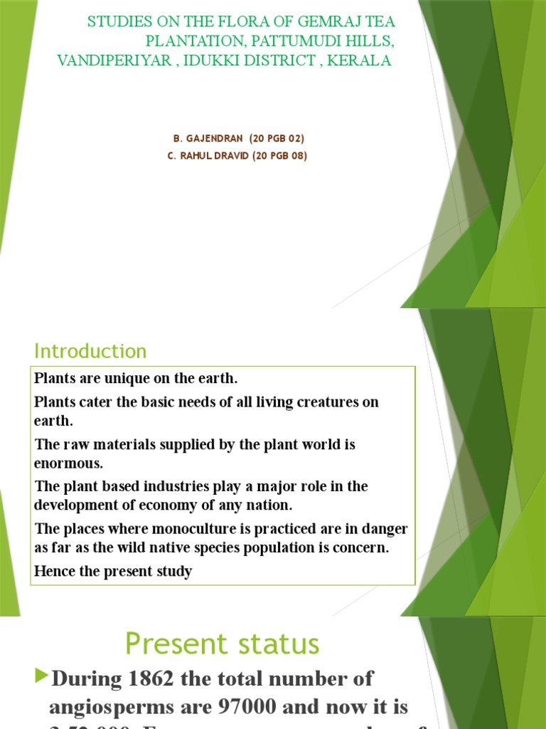 Flora of Tea Estate 11 | PDF | Plants | Botany