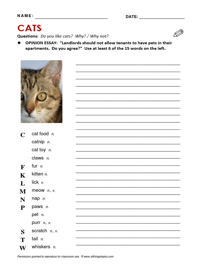 Wordbank | PDF | Cats | Domesticated Animals