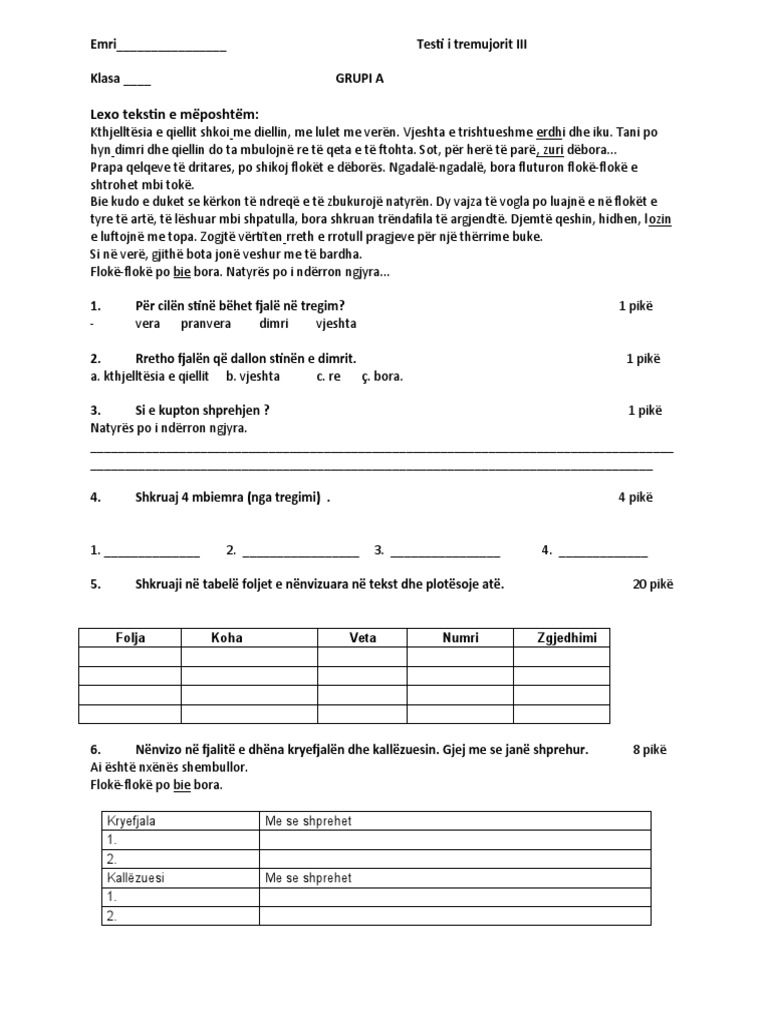 Test Gjuhe 3 | PDF