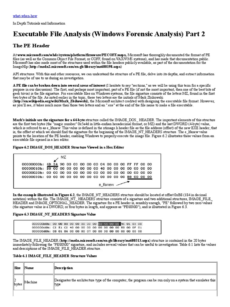 Executable File Analysis Windows Forensic Analysis Part 2 Pdf