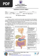 Respiratory System GRADE 6 | PDF | Respiratory Tract | Lung