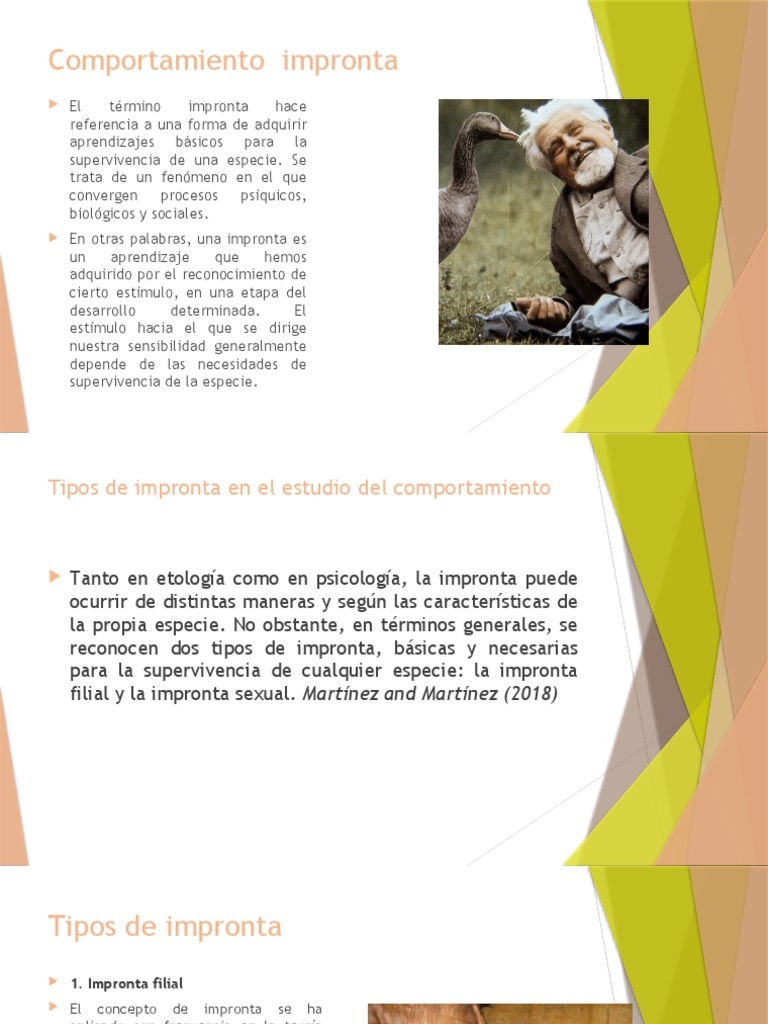 Comportamiento Impronta | PDF
