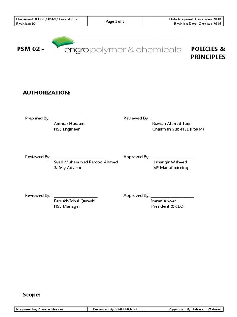 PSM 02 - Policies & Principles - Level 1 Document | PDF
