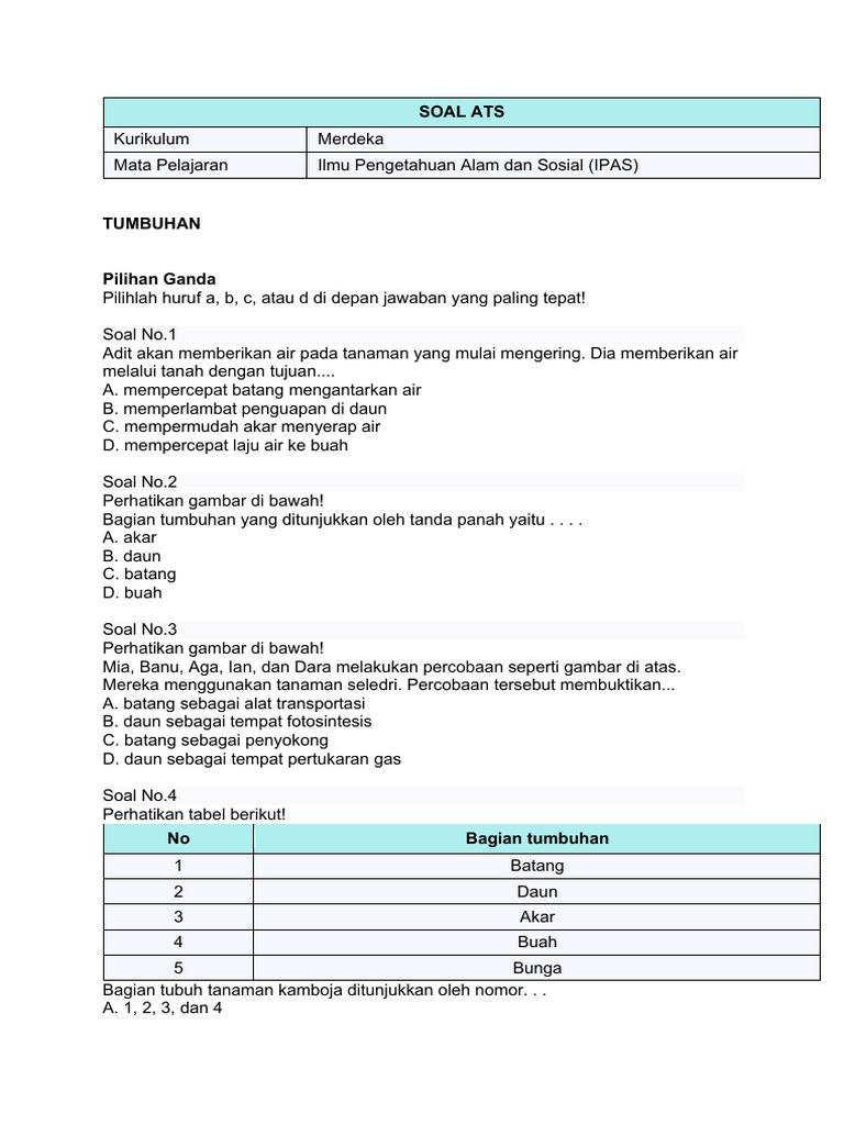 Soal Ats | PDF