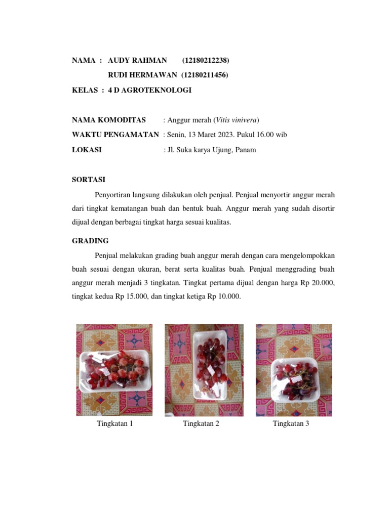 Proses Sortasi dan Grading Anggur Merah | PDF