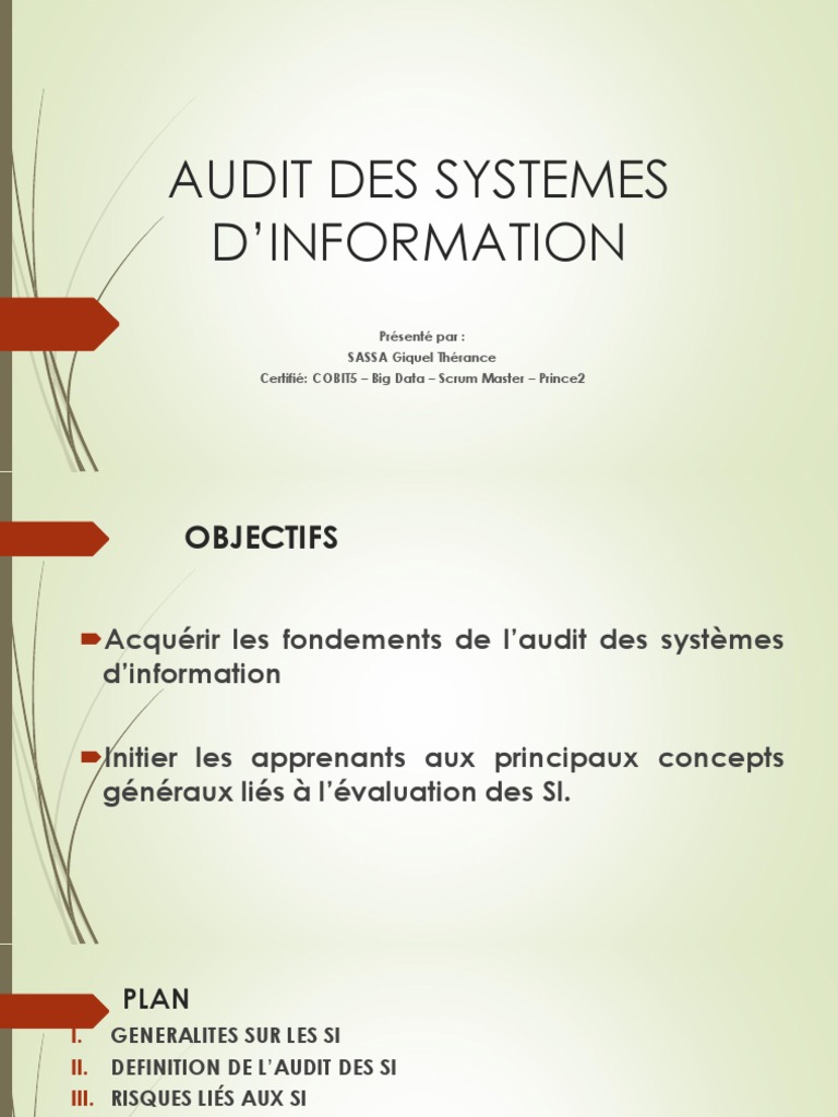 Audit et Risques des Systèmes d'Information | PDF | Itil | COBIT