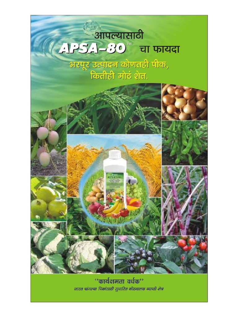 Apsa - 80 Marathi 746274-2-1 | PDF
