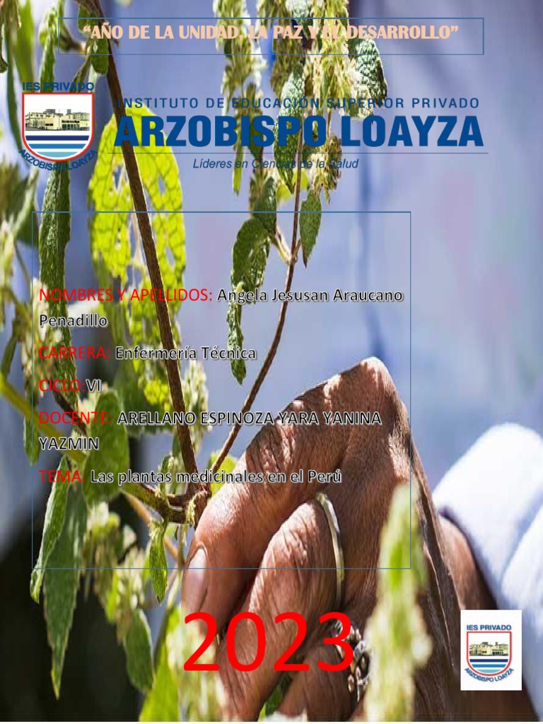 Plantas Medicinales Del Perú Araucano | PDF