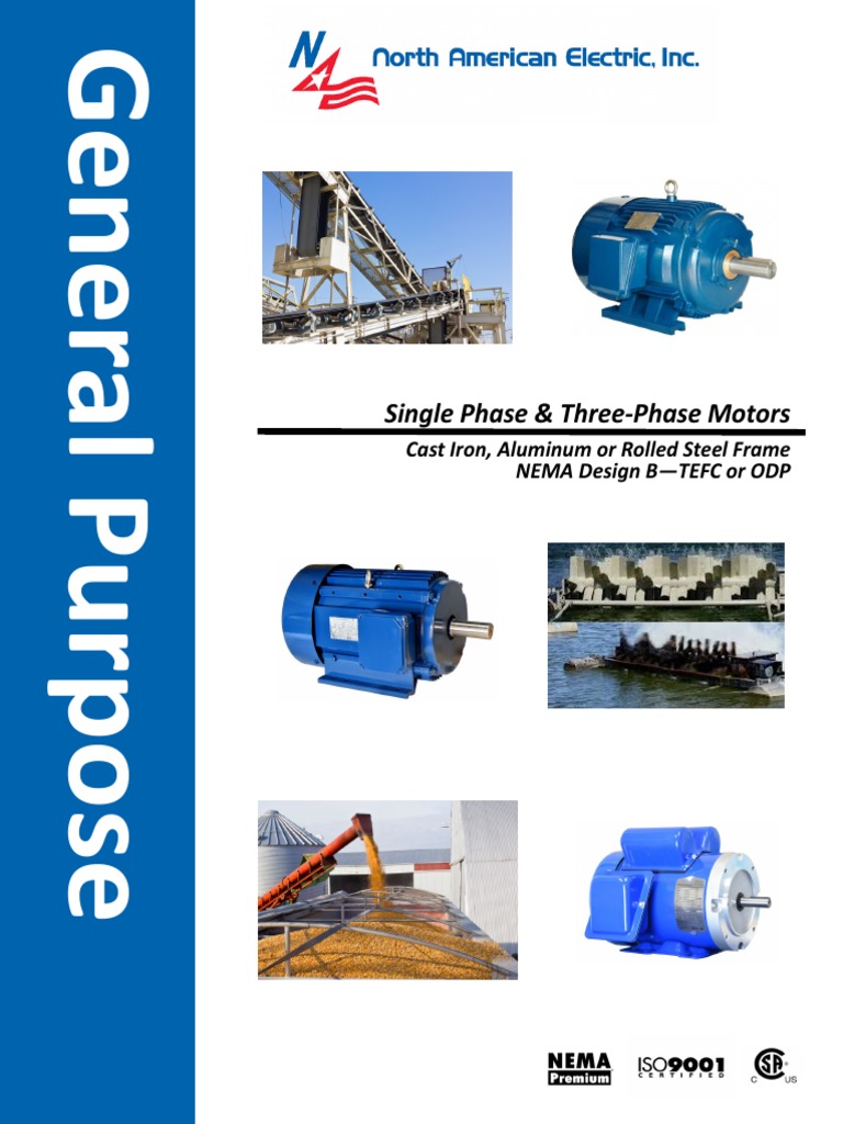 CAT-NAE-General-Purpose-Motors | PDF